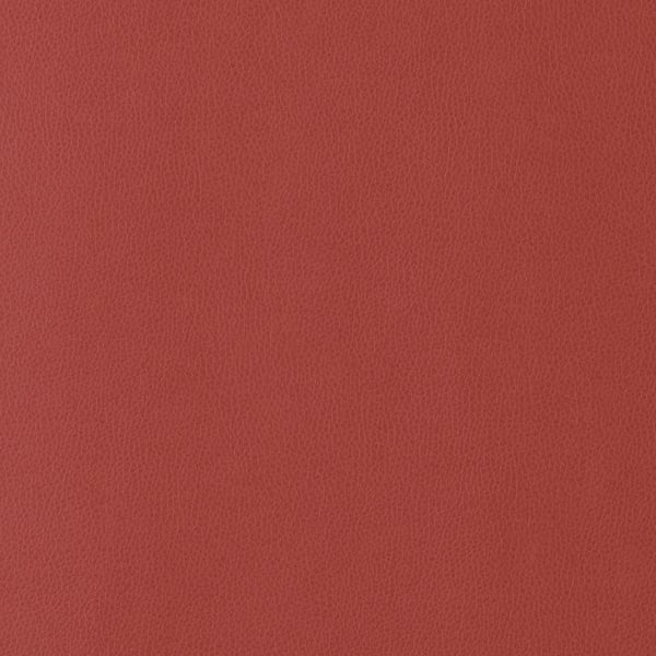 The Fall 2015 Color Palette